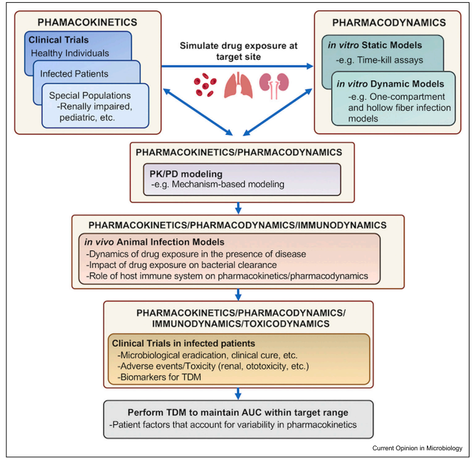 Pharmacodynamic (PD) Assays for Nucleic Acid Drugs - Nucleic Acid ...