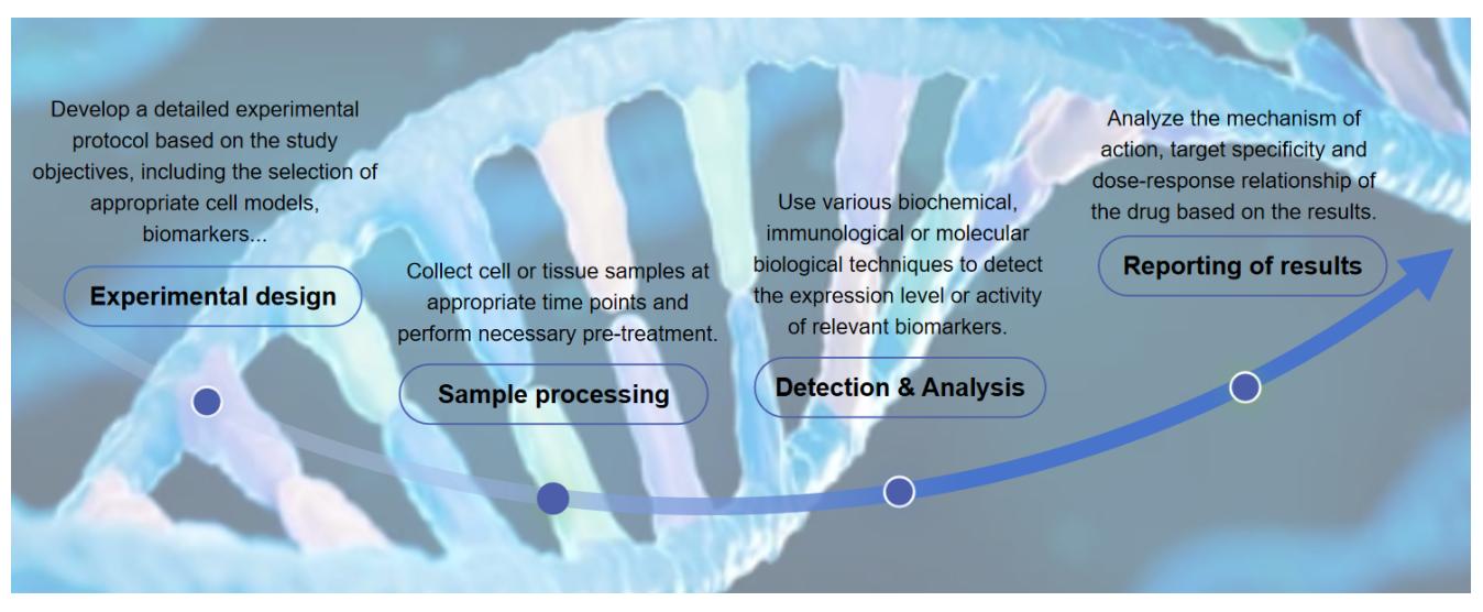 Pharmacodynamic (PD) Assays for Nucleic Acid Drugs - Nucleic Acid ...