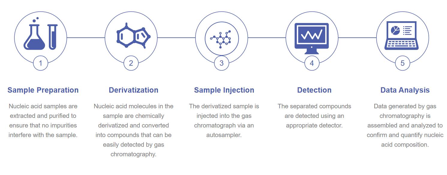 Gas Chromatography (GC) Platforms for Nucleic Acid Drugs - Nucleic Acid ...