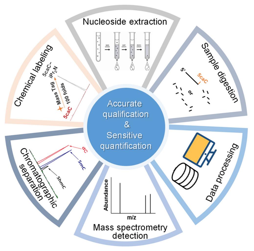 Gas Chromatography (GC) Platforms for Nucleic Acid Drugs - Nucleic Acid ...