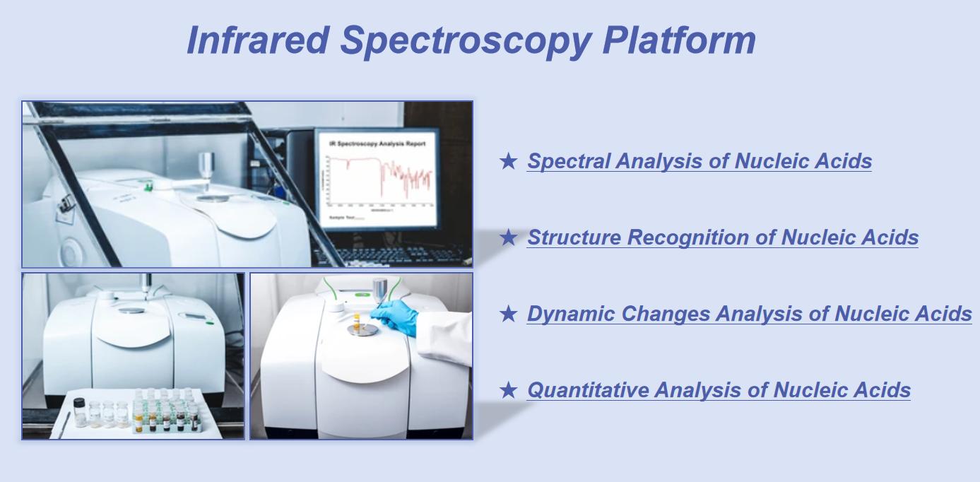 Infrared Spectroscopy Platform for Nucleic Acid Drugs - Nucleic Acid ...